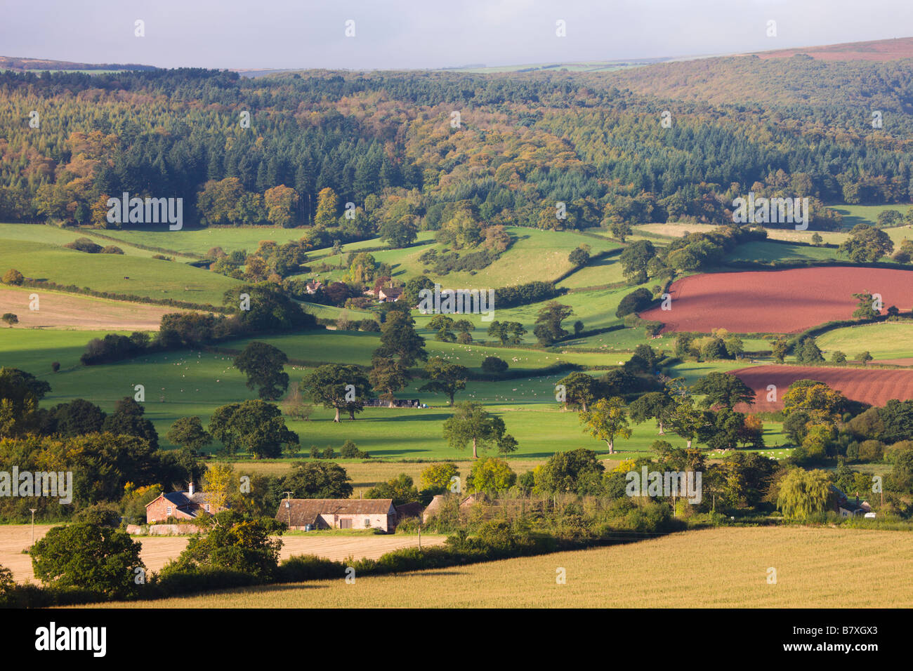 Village farmland somerset england hi-res stock photography and images ...