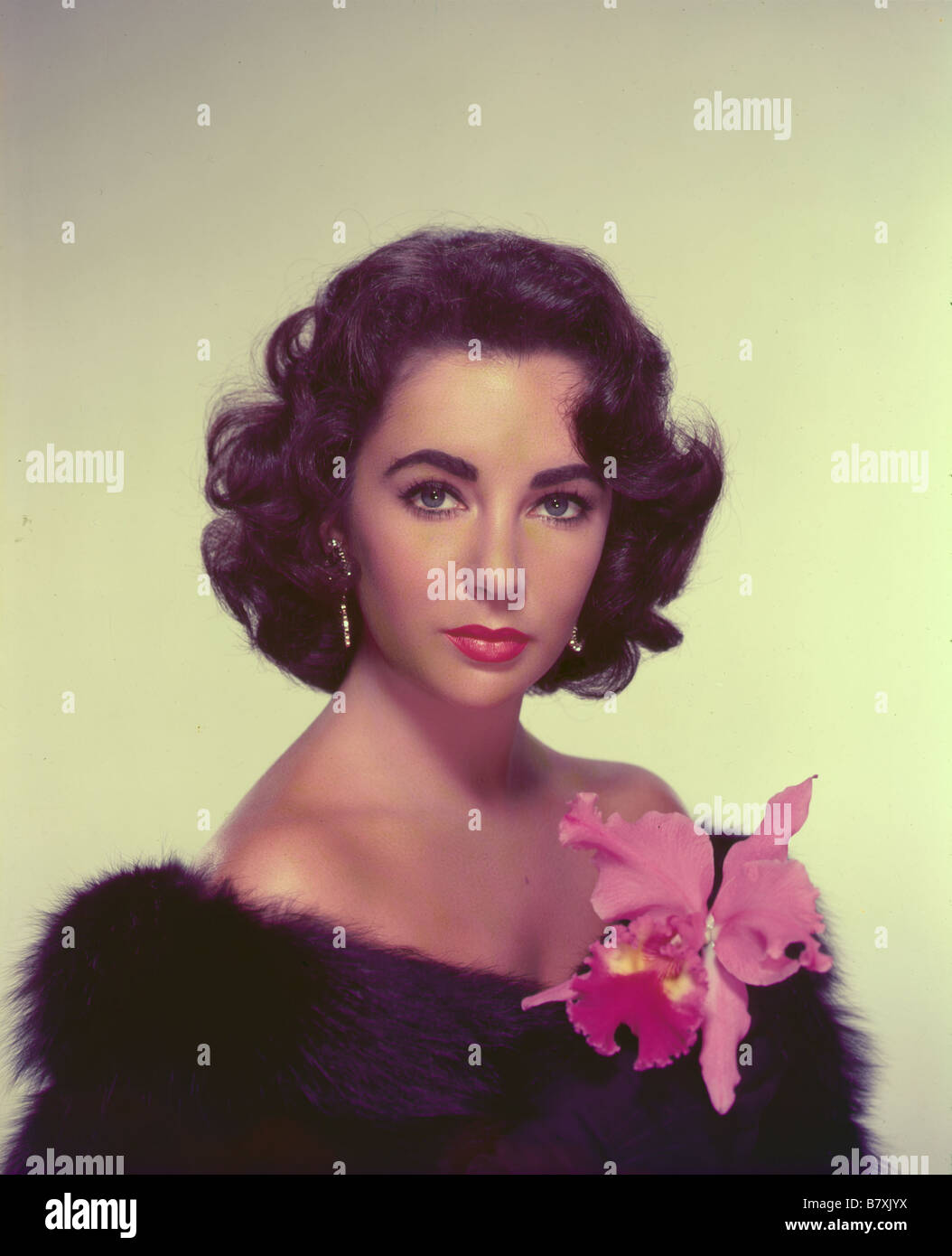 Elizabeth Taylor (Liz Taylor Stock Photo - Alamy