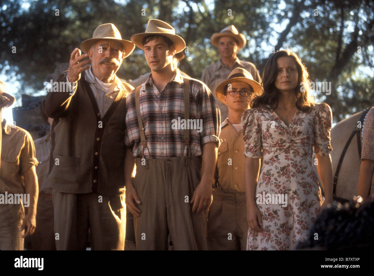 A Walk in the Clouds Year: 1995 USA Anthony Quinn , Keanu Reeves ...