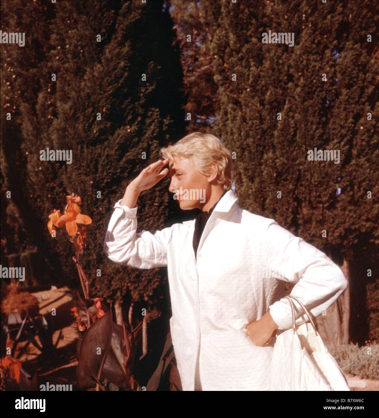Michèle Morgan, French Actress. Ca. 1956 Stock Photo - Alamy