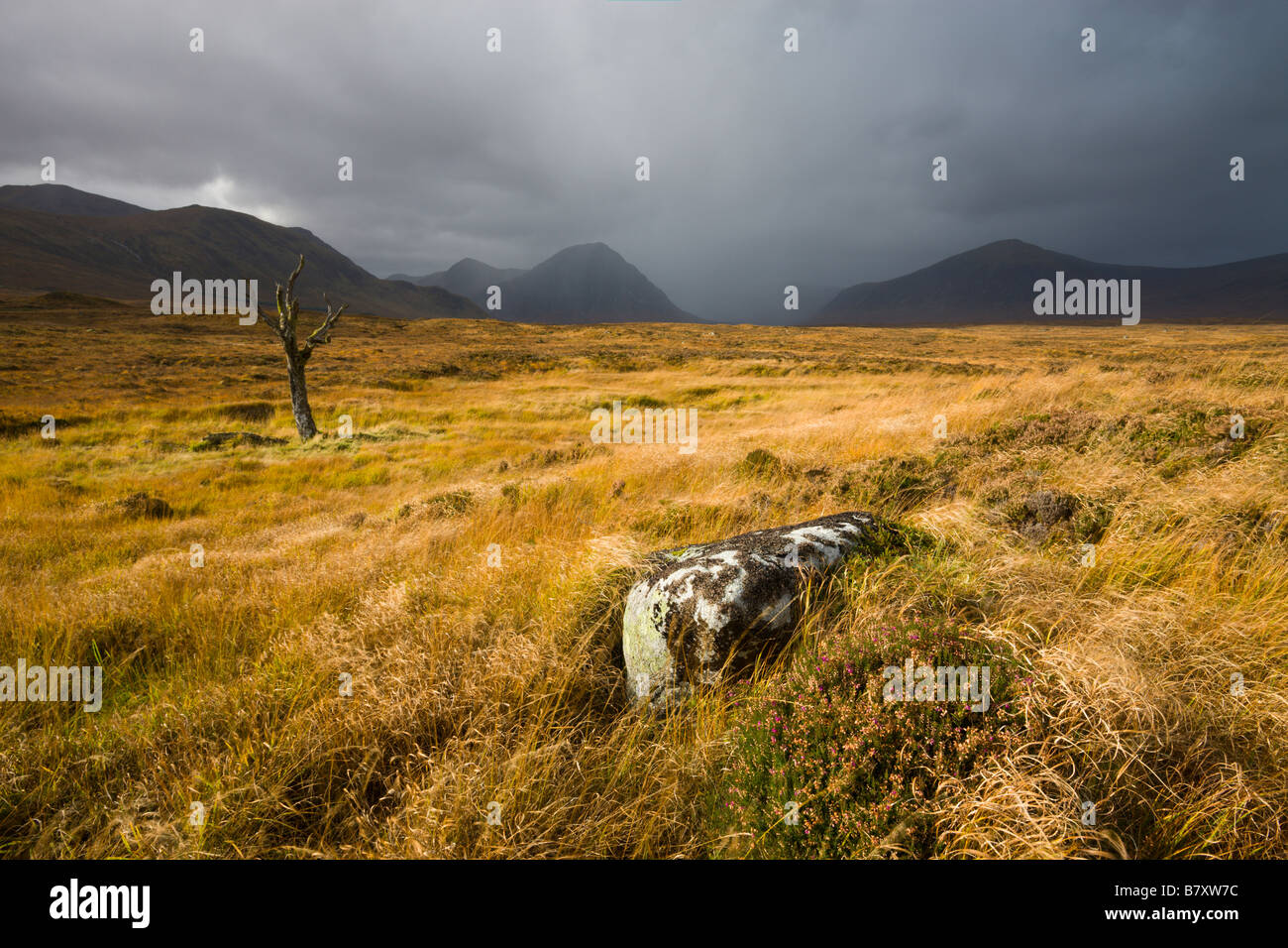 A storm approaches the desolate wilderness of Rannoch Moor Highland ...