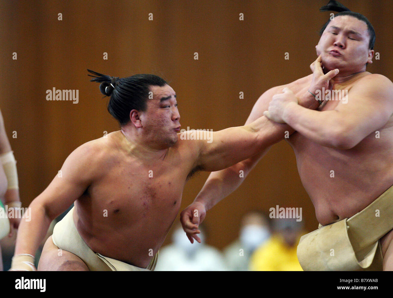 L to R Harumafuji Hakuho DECEMBER 8 2008 Sumo Sumo Winter Tour 2008 at Saito Gymnasium Miyazaki ...