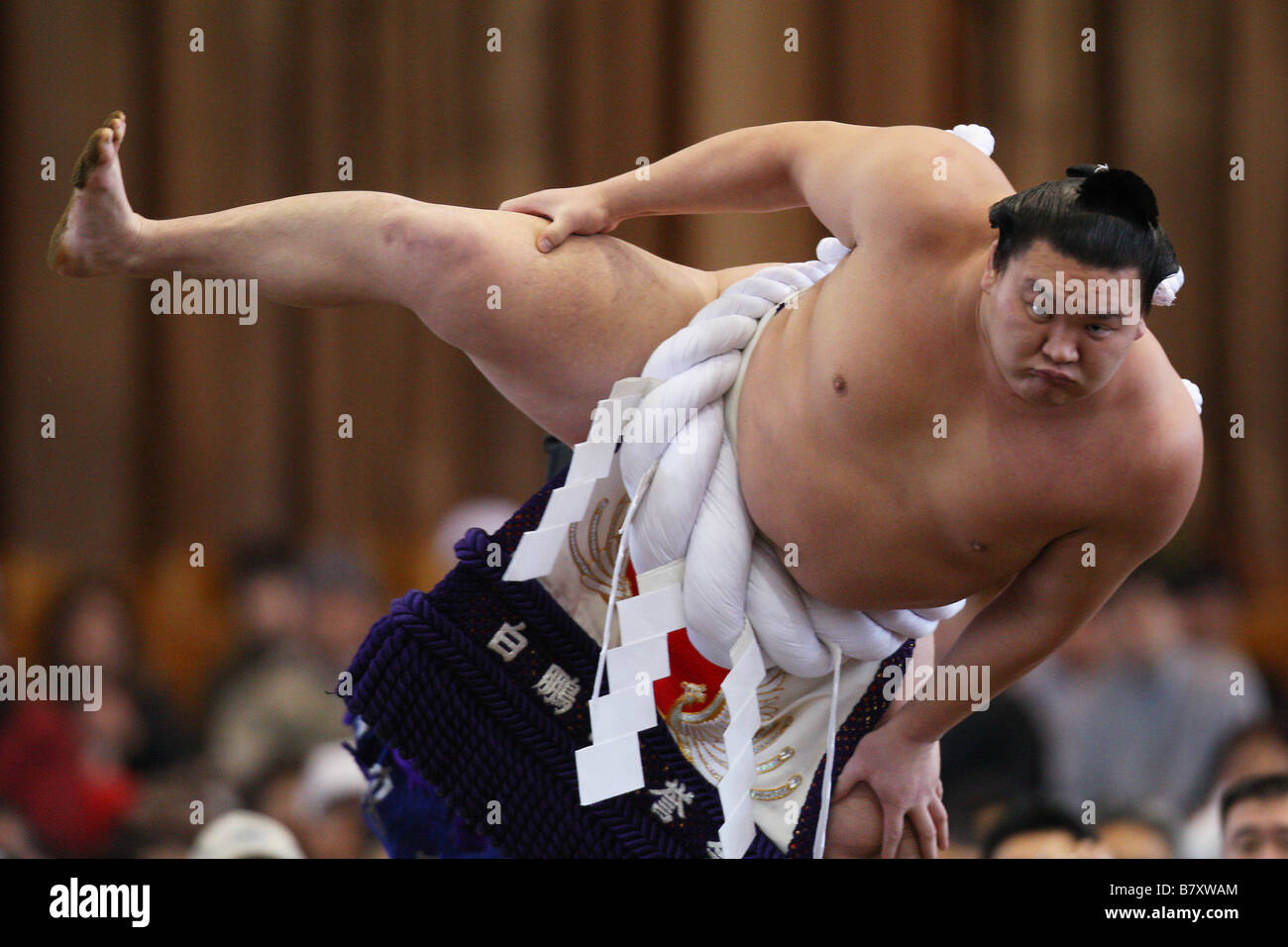 Hakuho DECEMBER 8 2008 Sumo Sumo Winter Tour 2008 at Saito Gymnasium ...
