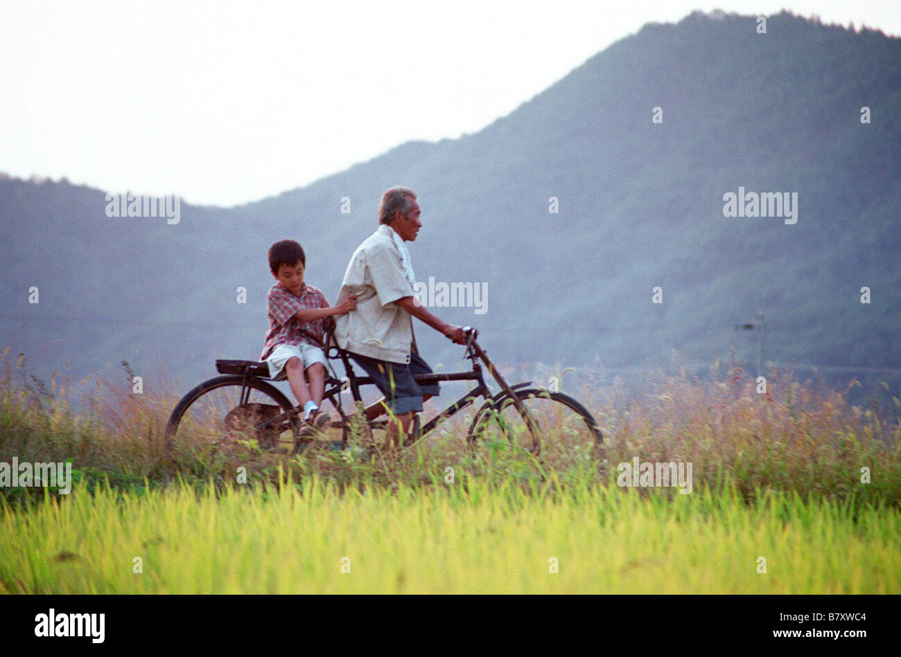 Jiburo Jibeuro Year: 2002 - South Korea Yu Seung-ho Director: Lee Jeong ...