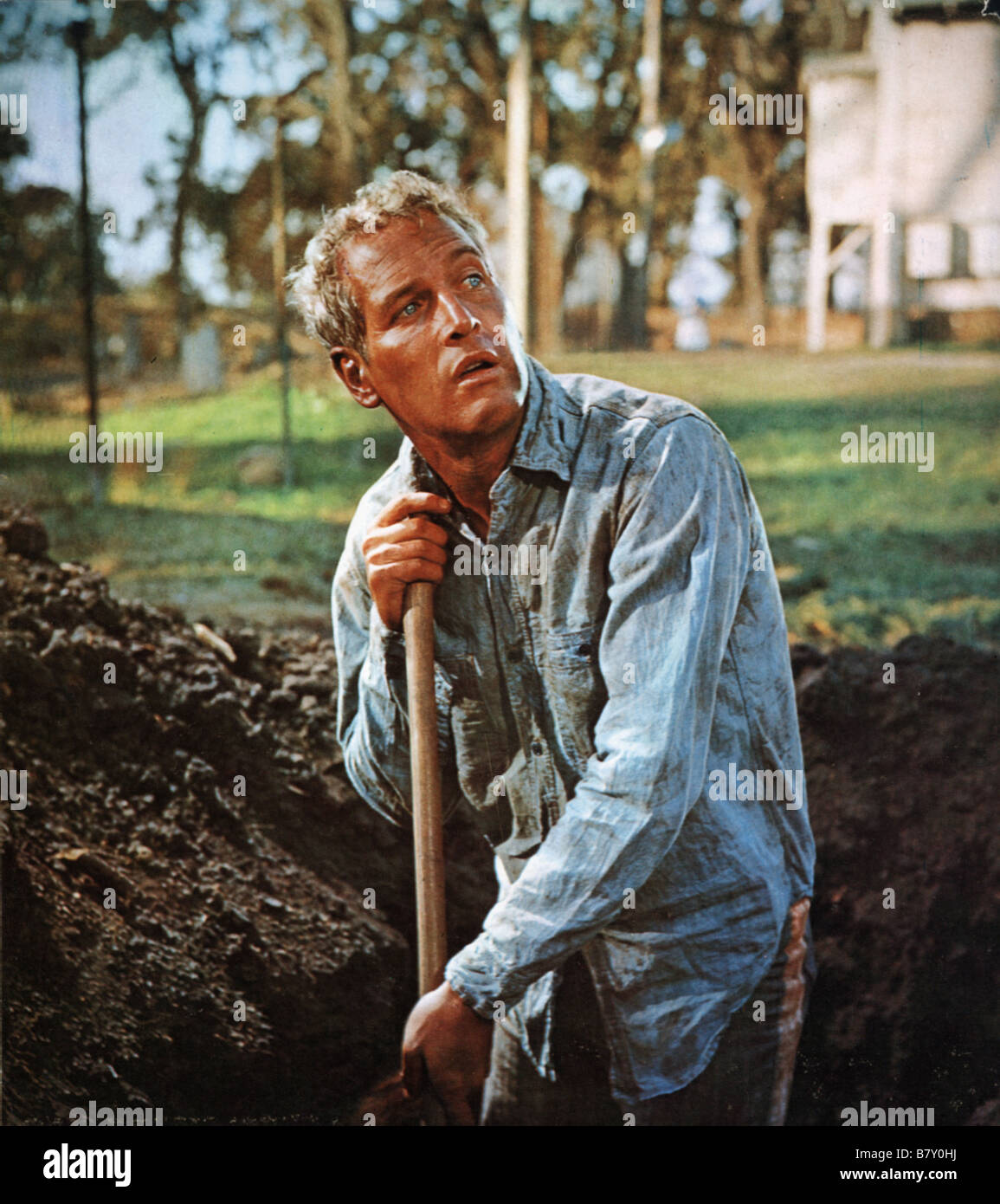 Stuart rosenberg cool hand luke hi-res stock photography and images - Alamy