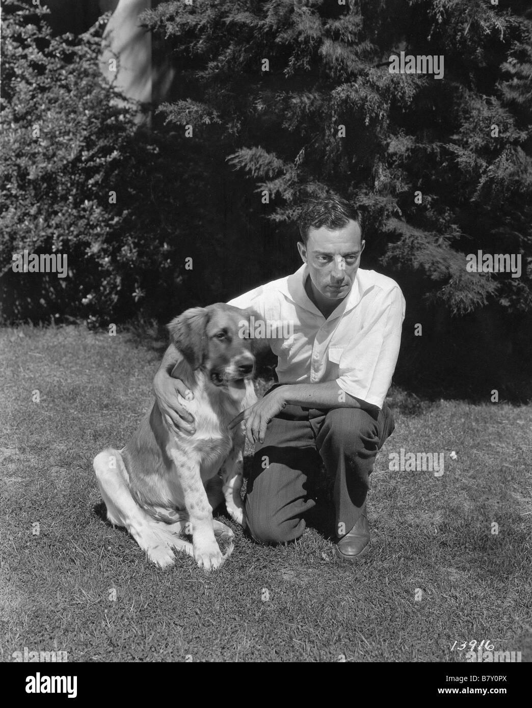 Buster dog hi-res stock photography and images - Alamy