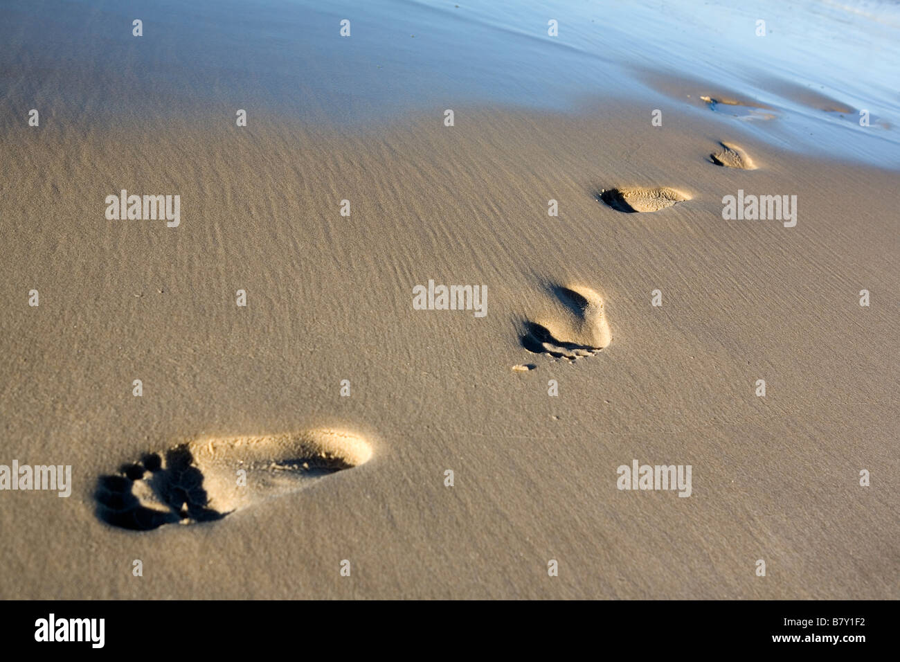 Footprints on Sea Shore Gold Coast Australia Stock Photo - Alamy