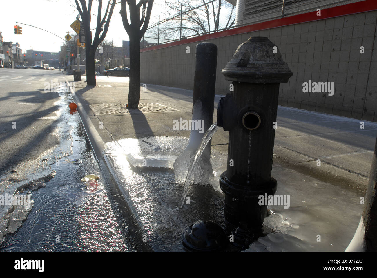 A dripping fire hydrant freezes in 16 degree temperatures in New York ...