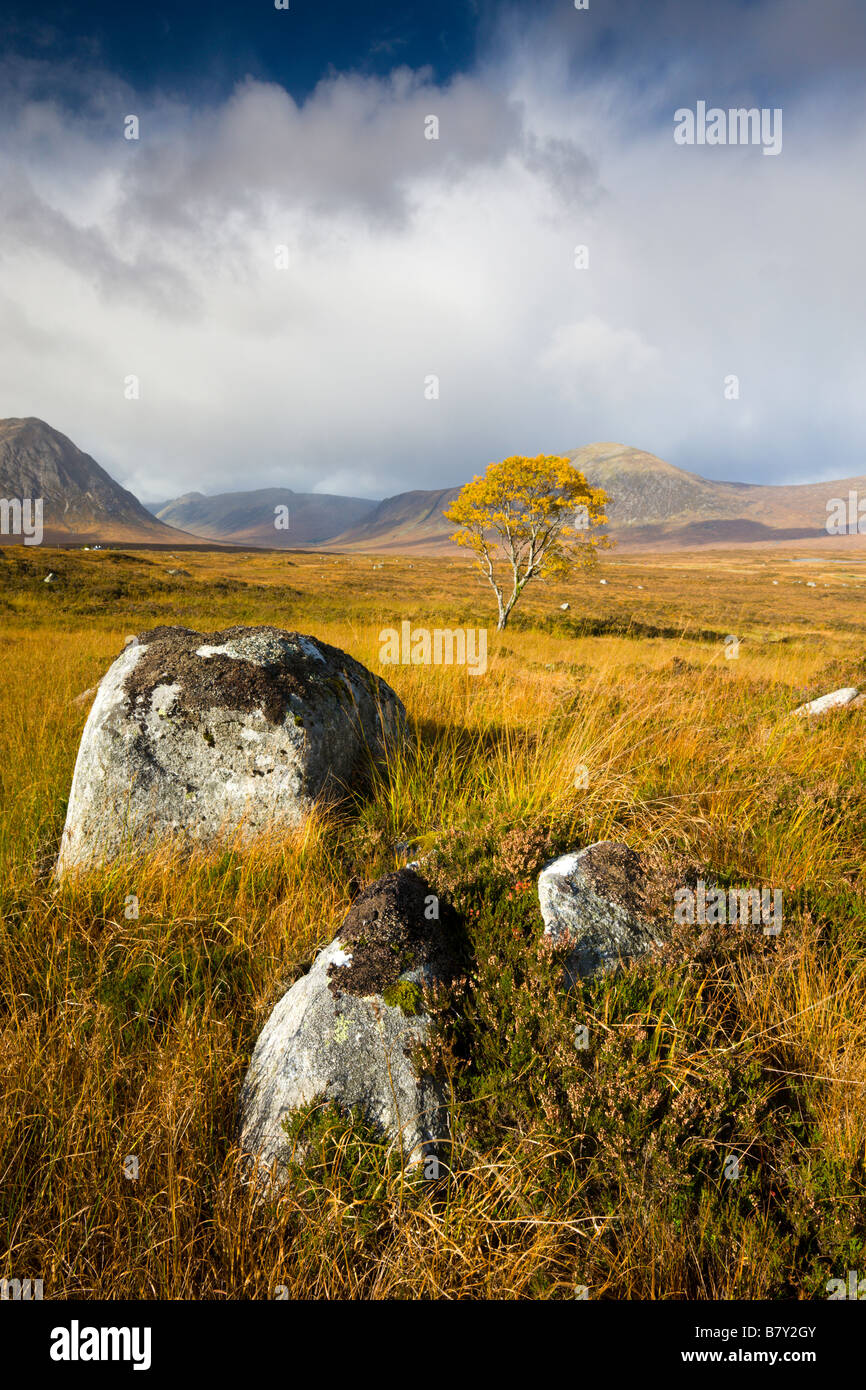 Autumn scenery on Rannoch Moor Scottish Highlands Scotland Stock Photo ...