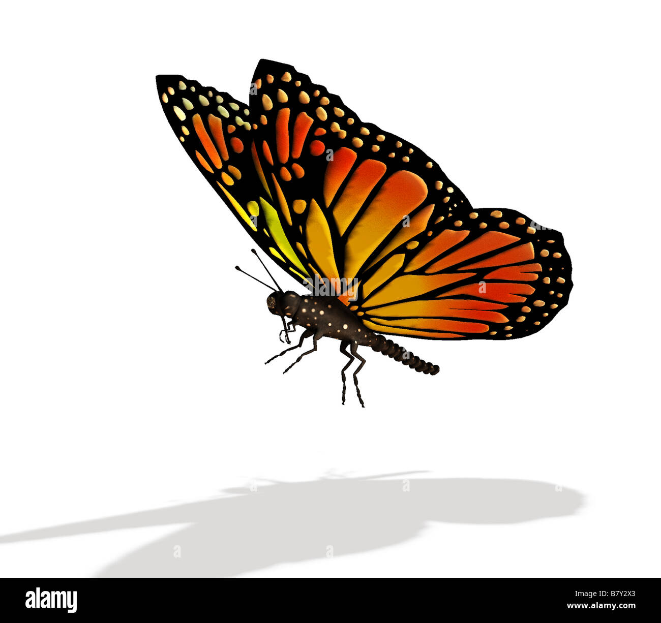 Summer butterfly flying hi-res stock photography and images - Alamy