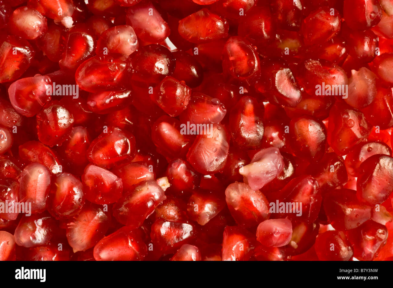 Vibrant red seeds hi-res stock photography and images - Alamy
