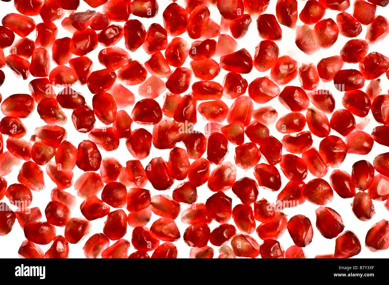 Plump seeds hi-res stock photography and images - Alamy