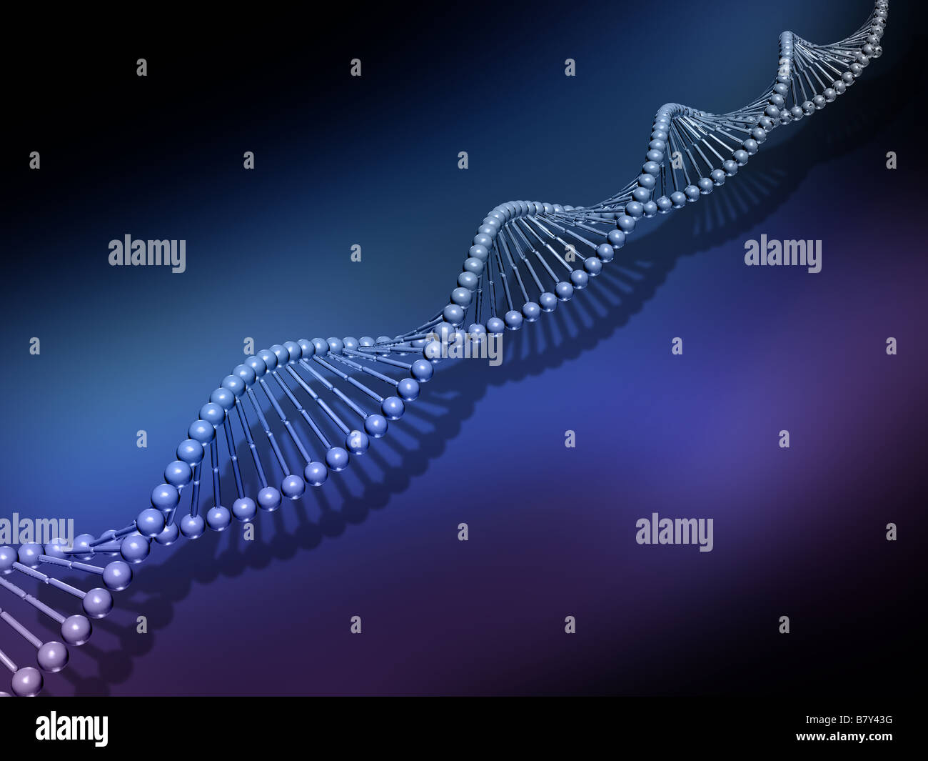3D render of DNA strands Stock Photo - Alamy