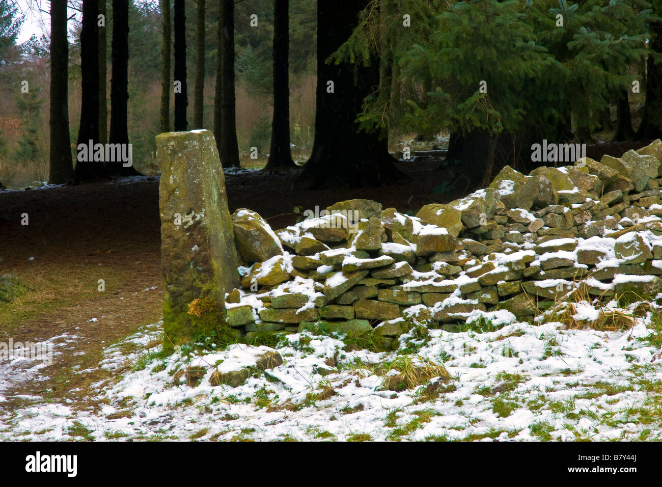 Bowland dry forest stone wall hi-res stock photography and images - Alamy