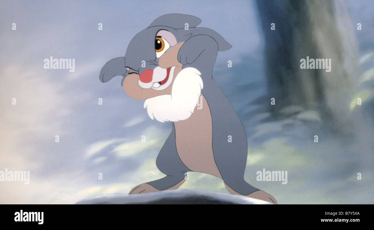 Animal animaux lapin hi-res stock photography and images - Alamy