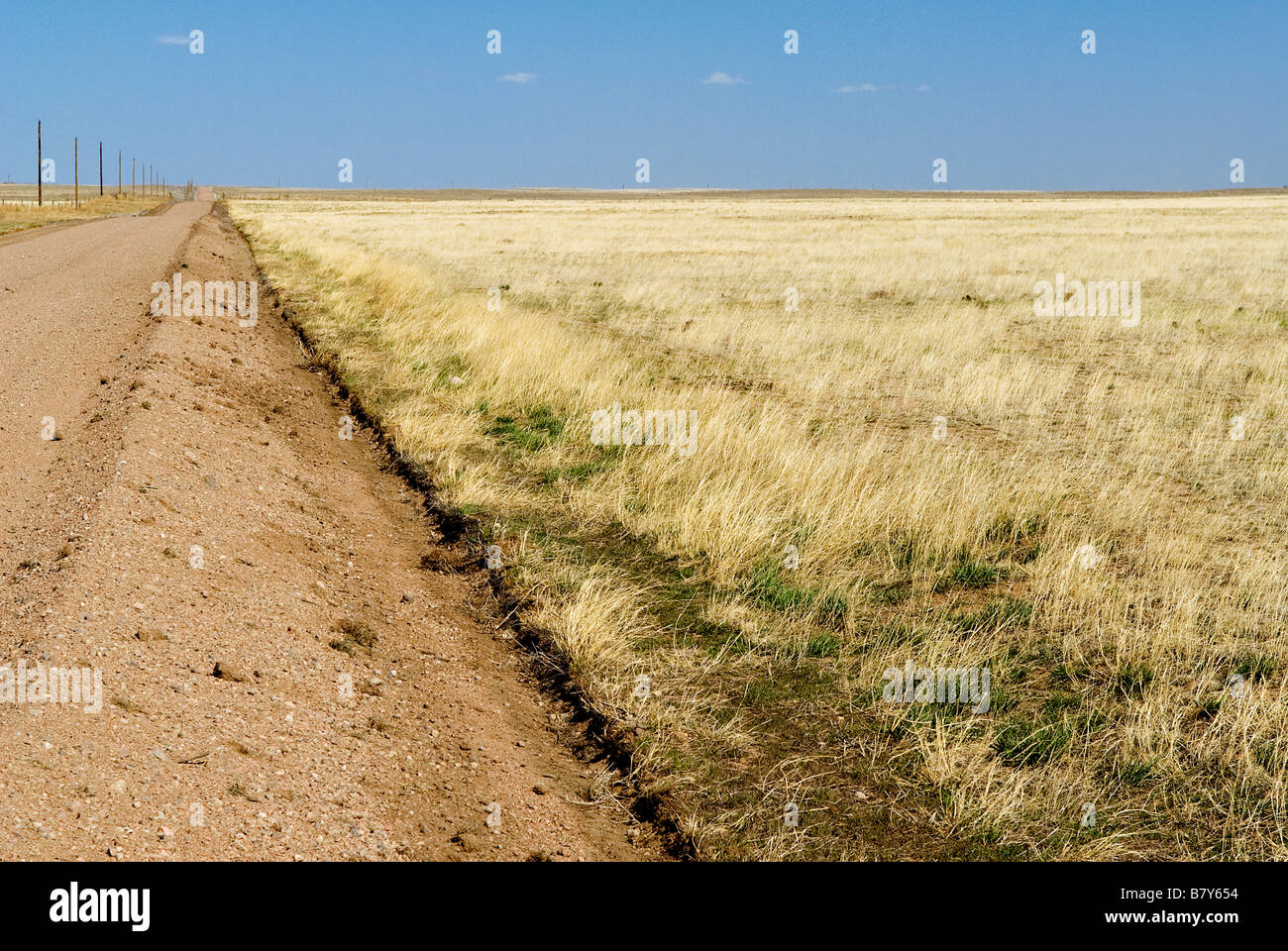 a raised red dirt road runs through the yellowed semi-arid grasslands ...