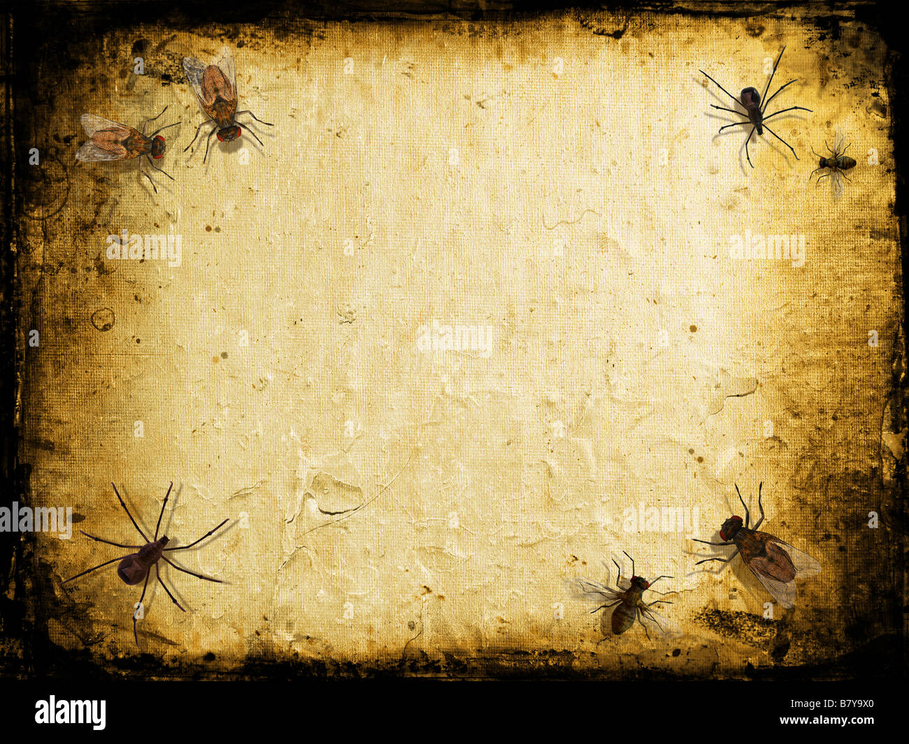 Grunge background with spiders and flies Stock Photo - Alamy