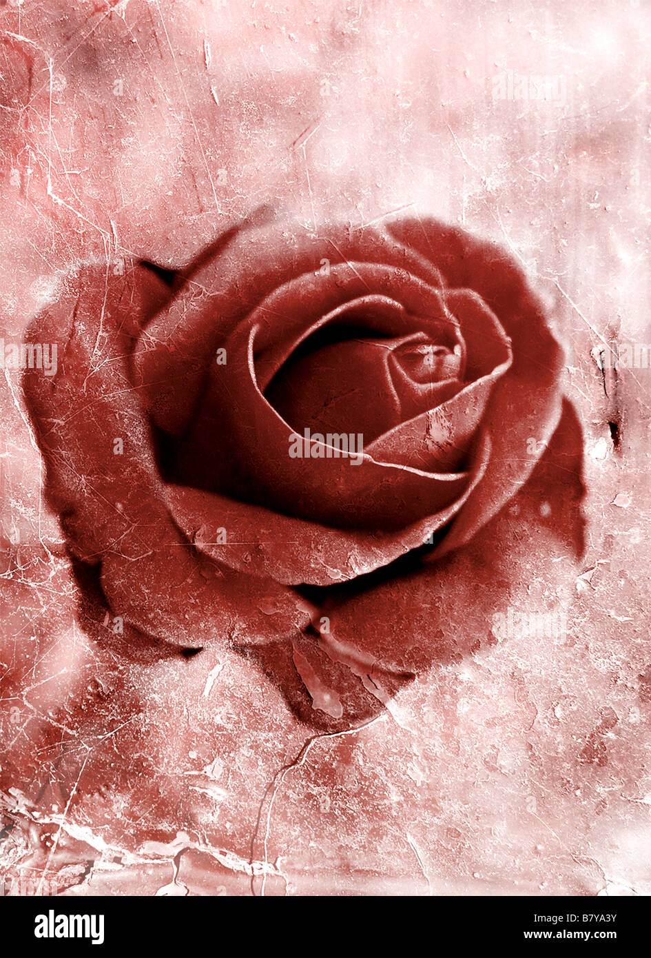 Grunge style rose background Stock Photo - Alamy