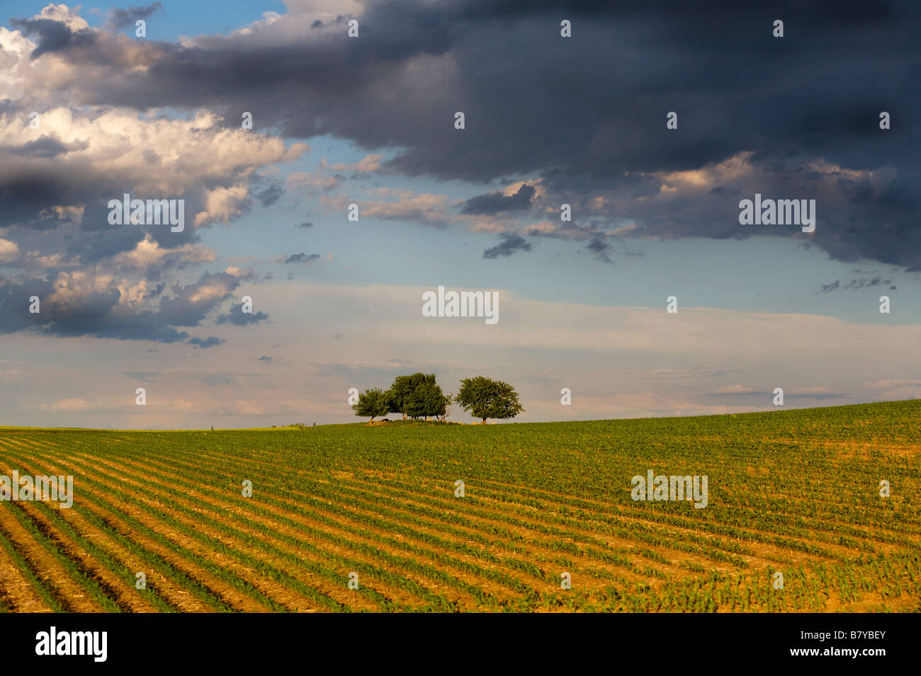 Wisconsin dairy farm hi-res stock photography and images - Alamy