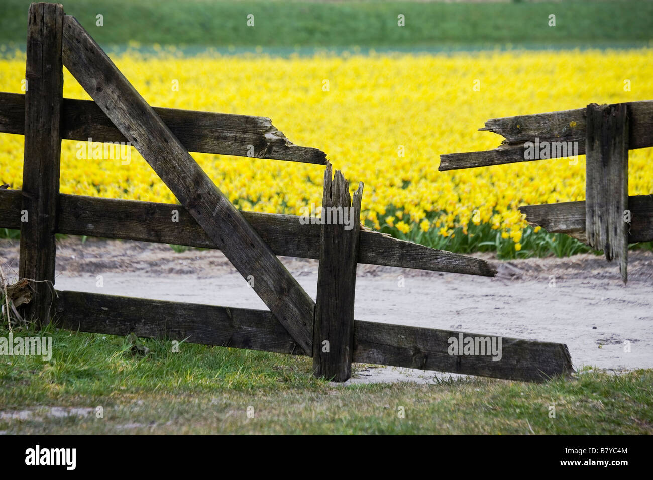 Broken fence hi-res stock photography and images - Alamy