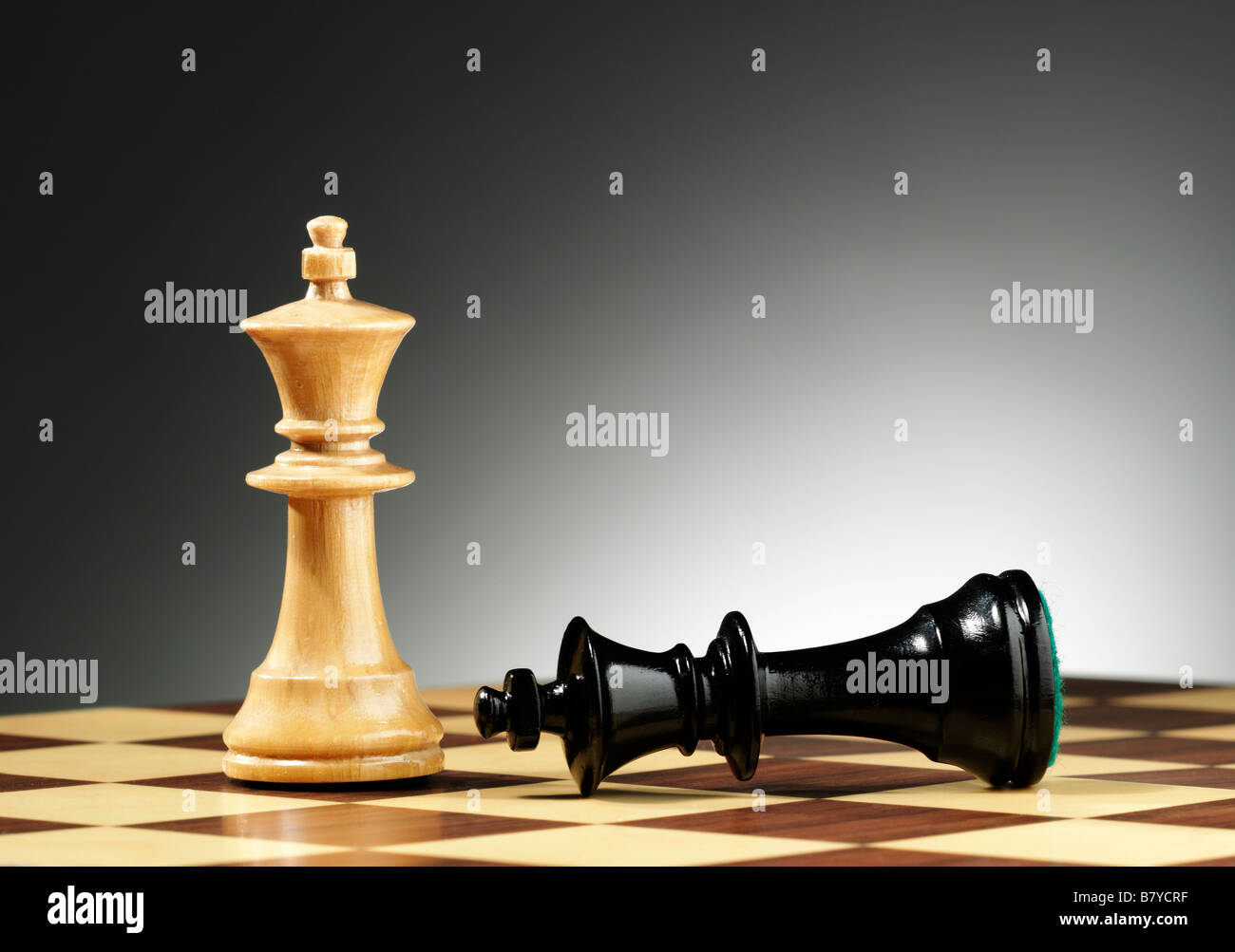 White king stands tall next to defeated black king Stock Photo - Alamy