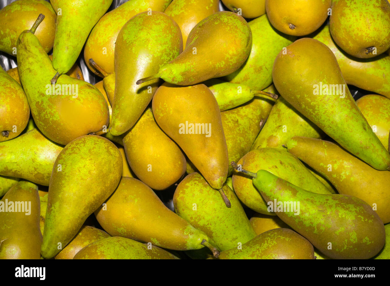 conference Pears fresh fruits supermarket fruit Display Counter Stock ...