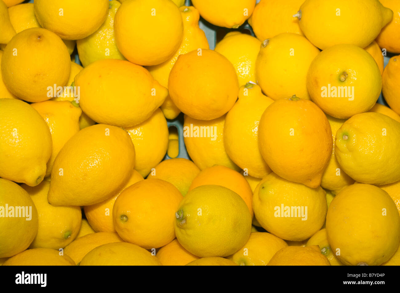 Five fresh lemons hi-res stock photography and images - Alamy