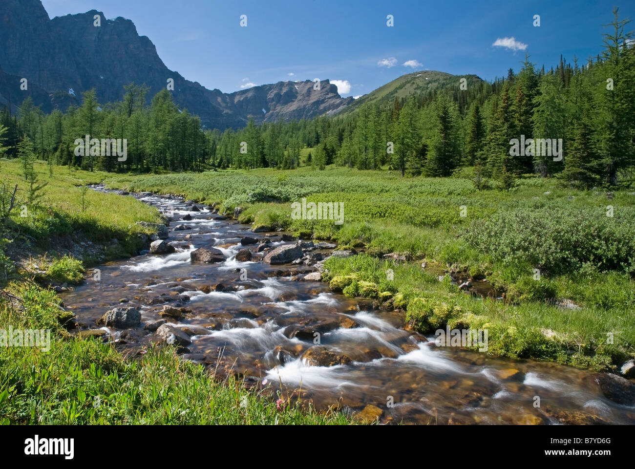 Panorama Ridge, Banff National Park, Banff, Alberta Stock Photo - Alamy
