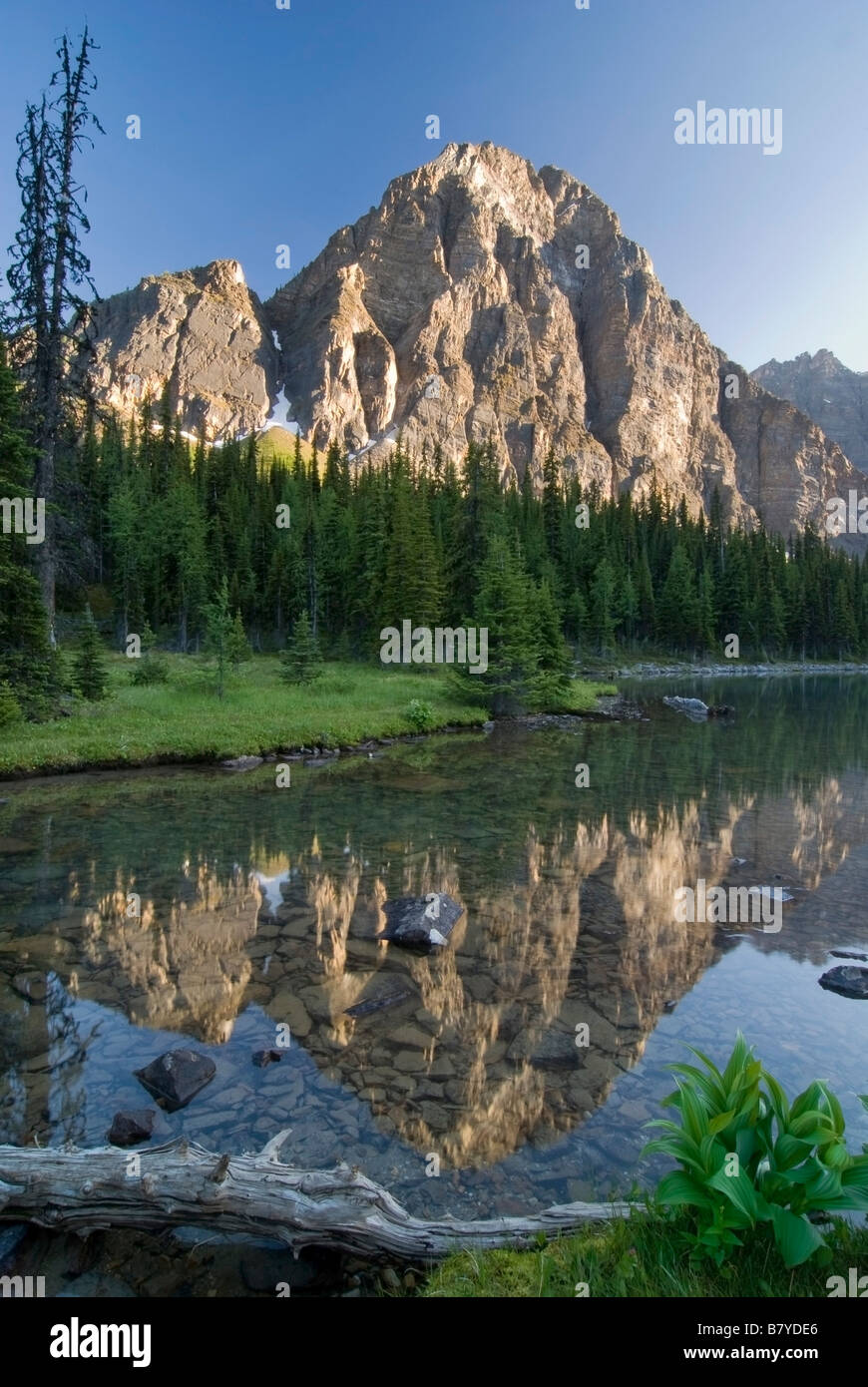 Taylor Lake, Banff National Park, Alberta, Canada Stock Photo - Alamy