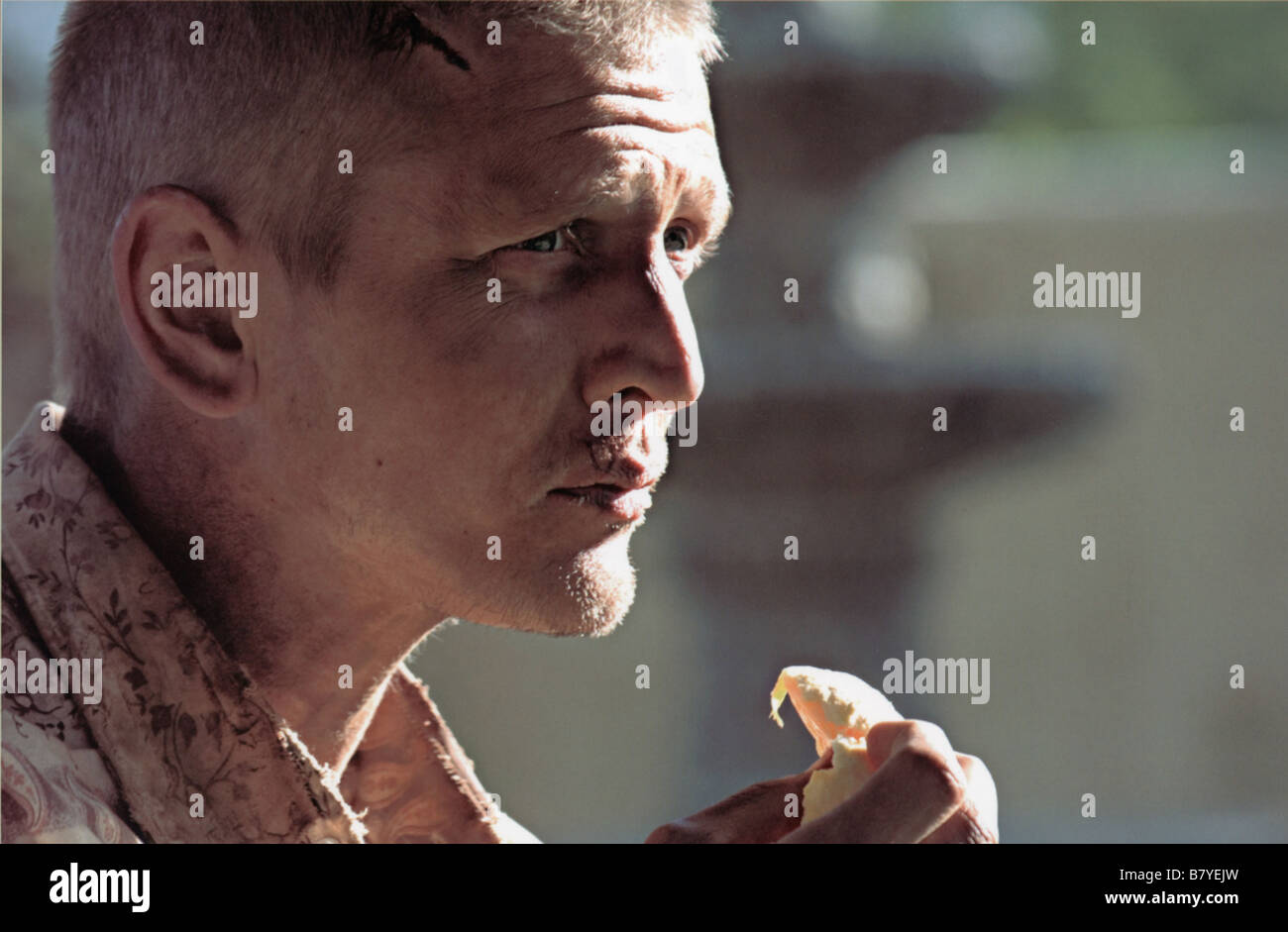 The Three Burials of Melquiades Estrada Year: 2005 USA Barry Pepper ...