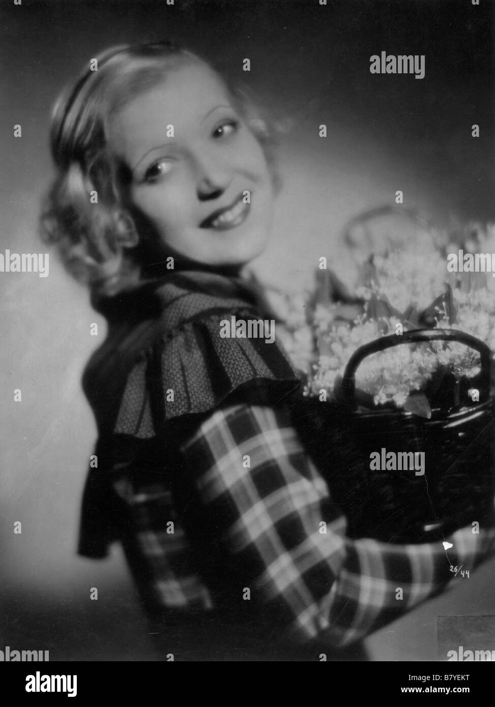 Eggerth Stock Photos & Eggerth Stock Images - Alamy