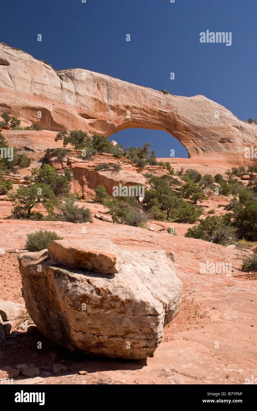 Wilson Arch, Arches National Park, Utah, USA Stock Photo - Alamy