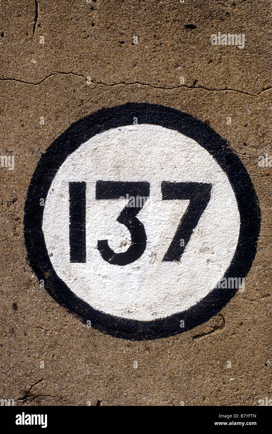 House number 137 painted in black on white roundel on gate pier in ...