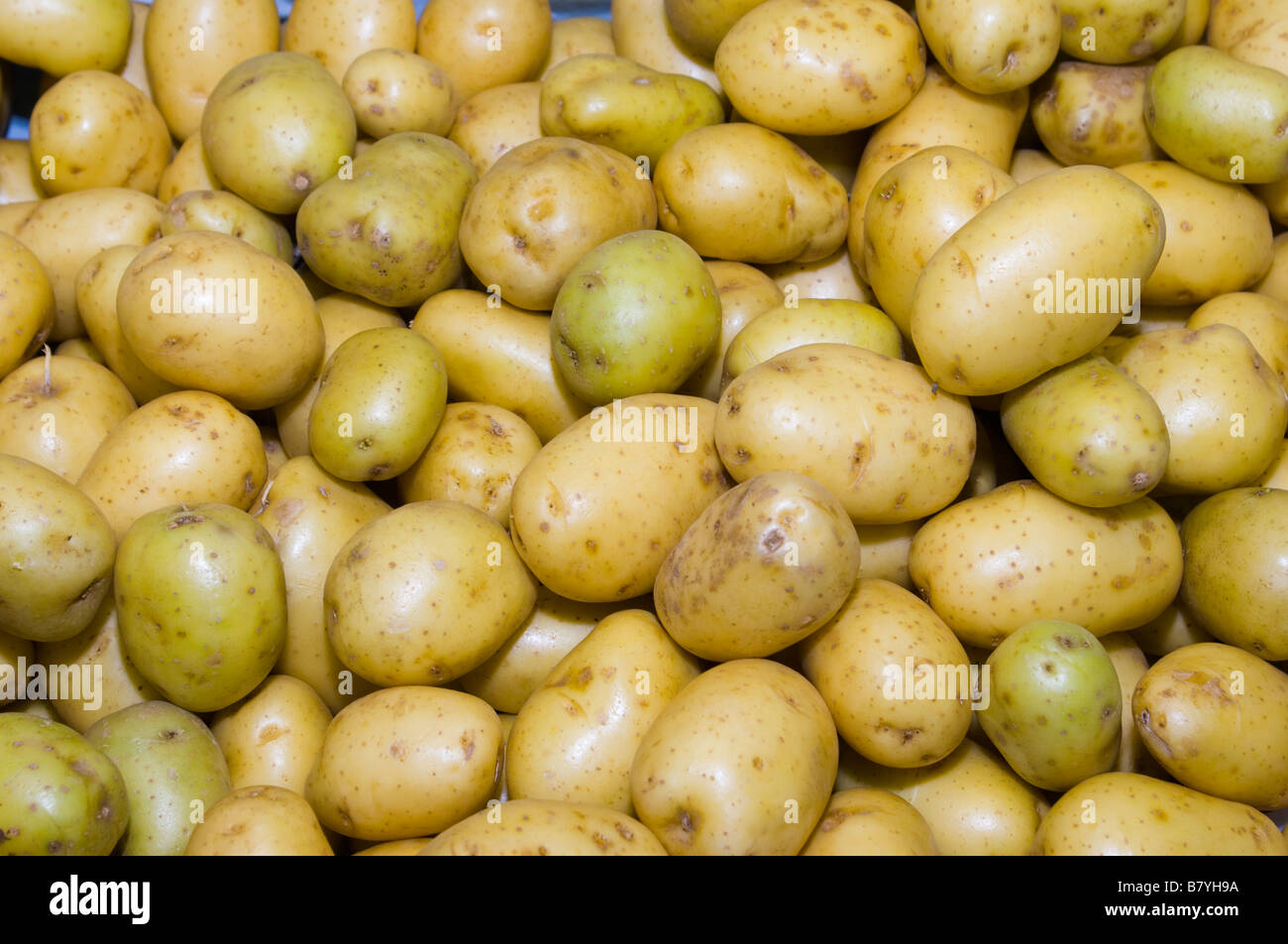 Five potatoes hi-res stock photography and images - Alamy