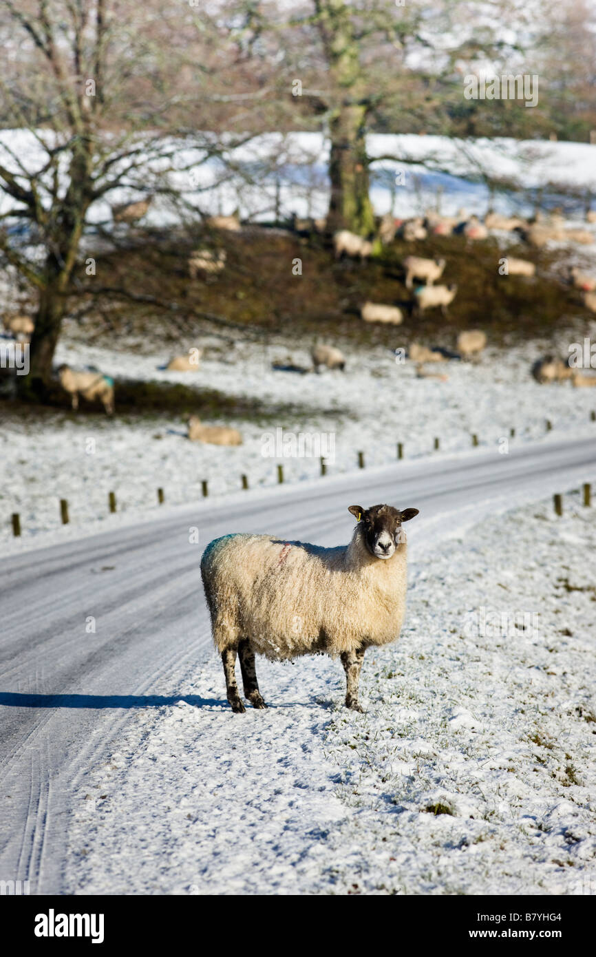 Winter yorkshire farm hi-res stock photography and images - Alamy