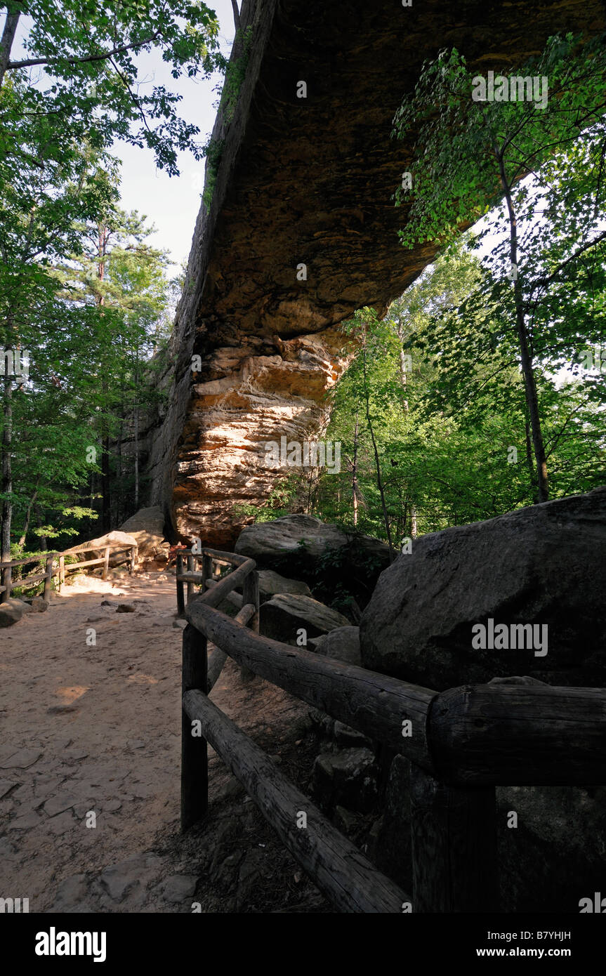 Natural Bridge underneath under beneath the arch Natural Bridge State ...