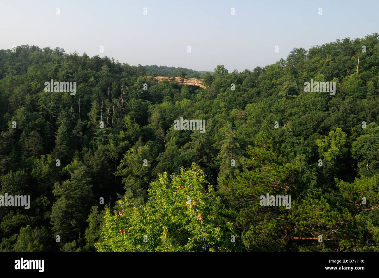 Natural Bridge sandstone arch distant view Natural Bridge State Park ...