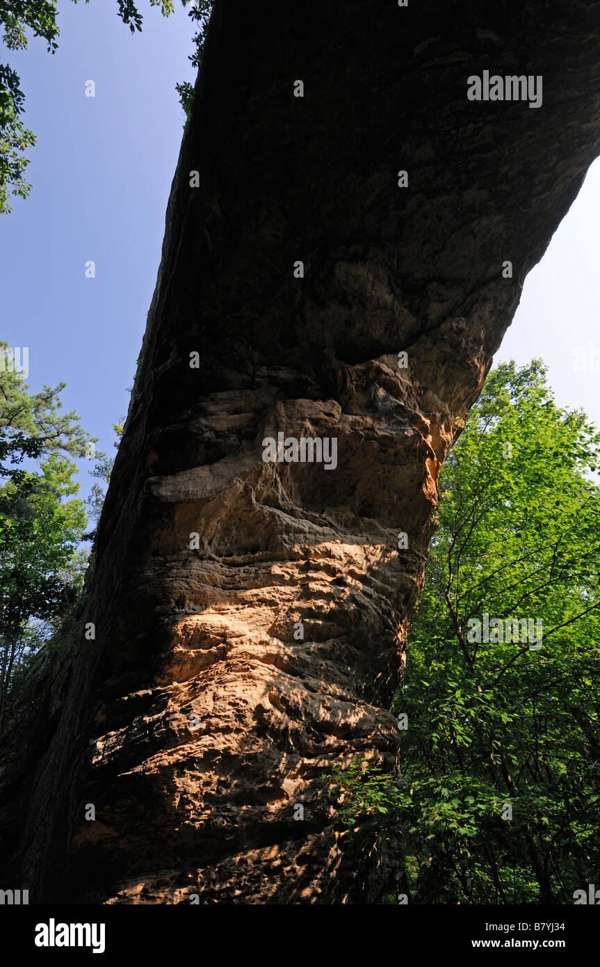 Natural Bridge underneath under beneath the arch Natural Bridge State ...