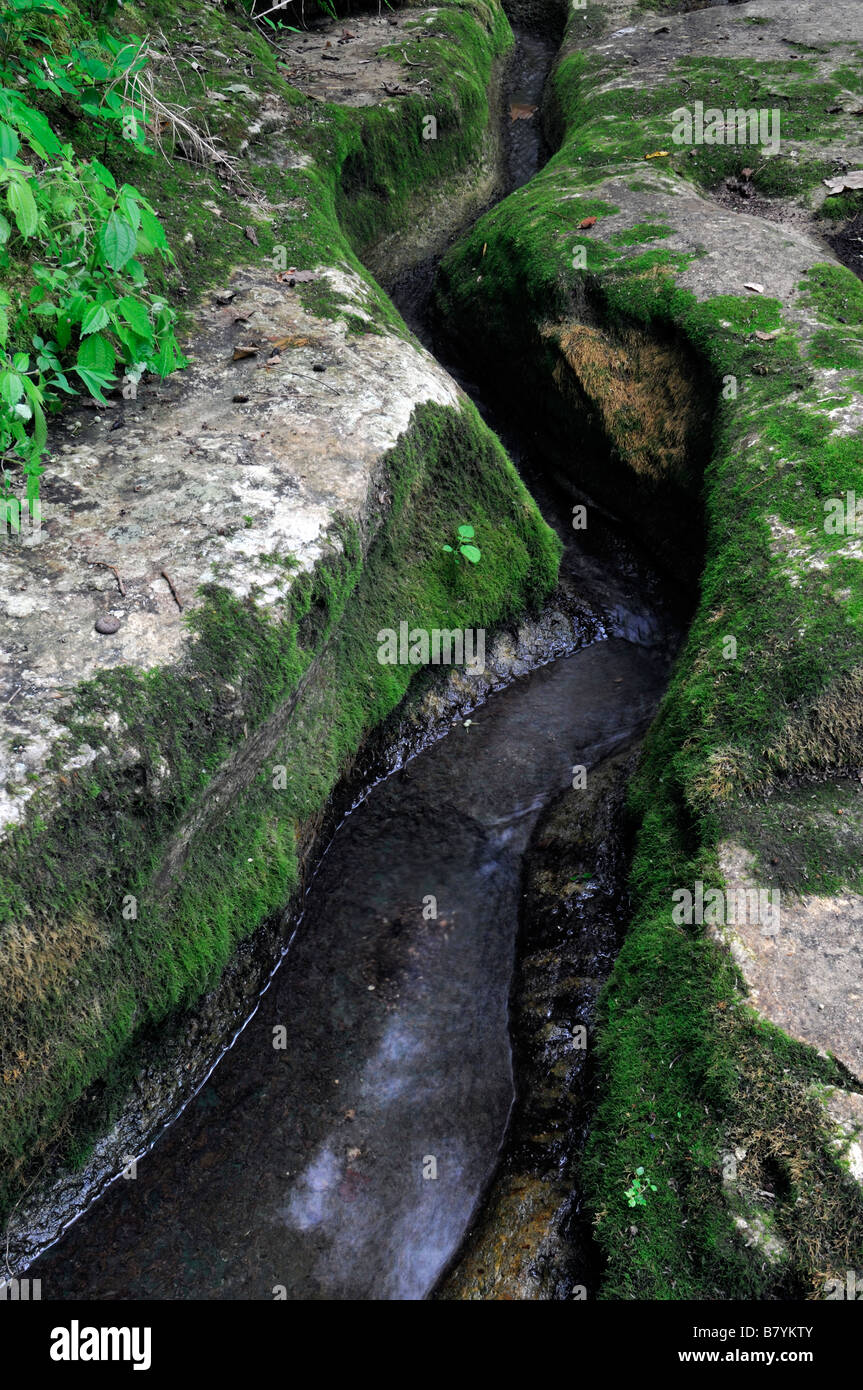stream creek carved carve channel path Clifty Wilderness Red River ...
