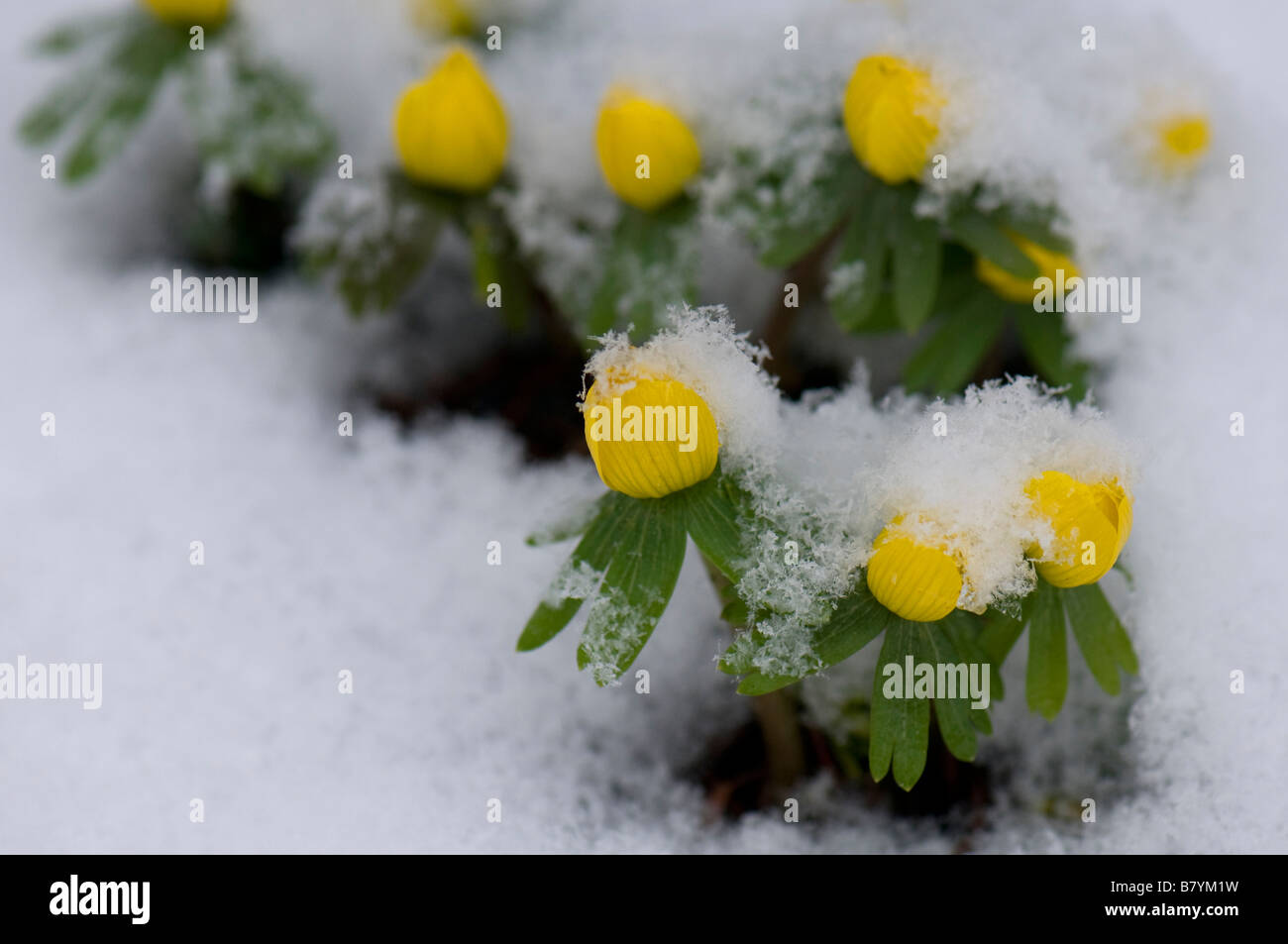 Icey ground hi-res stock photography and images - Alamy