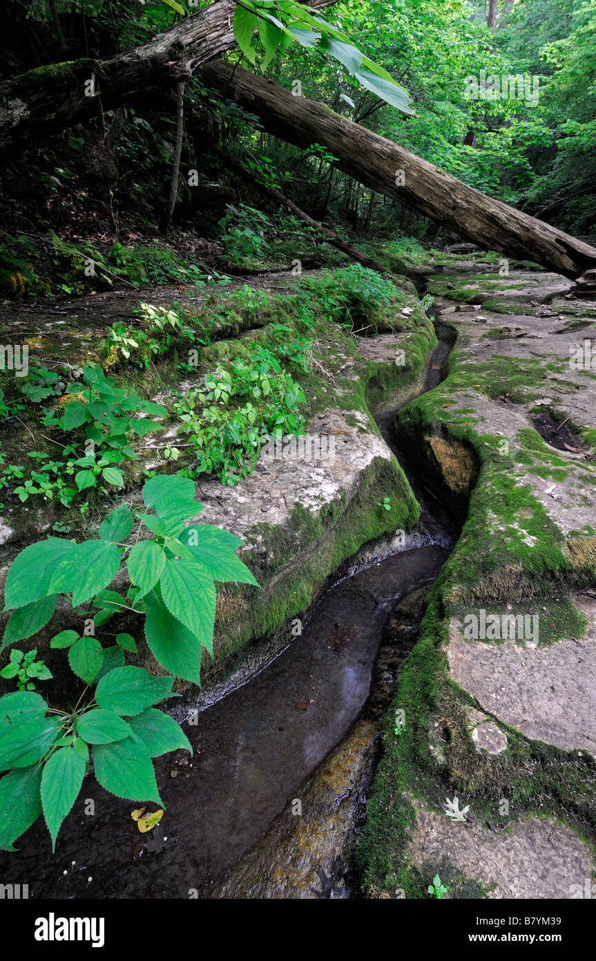 River carve hi-res stock photography and images - Alamy