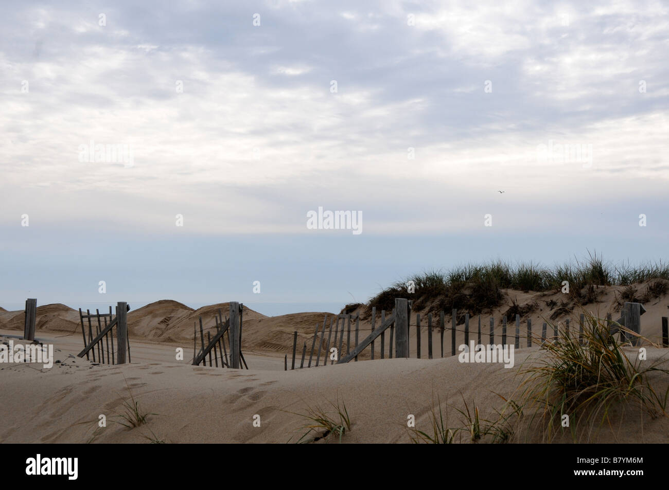 Sand dunes with fence Stock Photo - Alamy