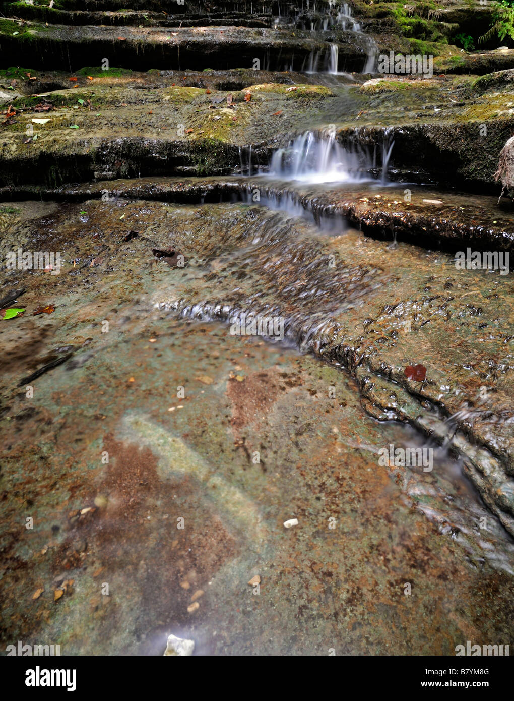 stream creek waterfall rapids Clifty Wilderness Red River Gorge ...