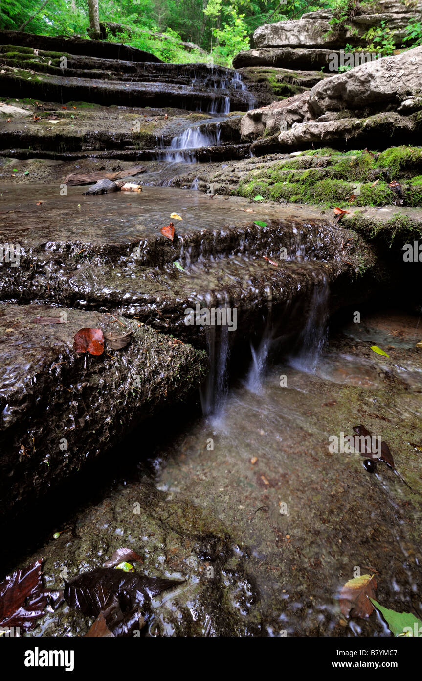 stream creek waterfall rapids Clifty Wilderness Red River Gorge ...