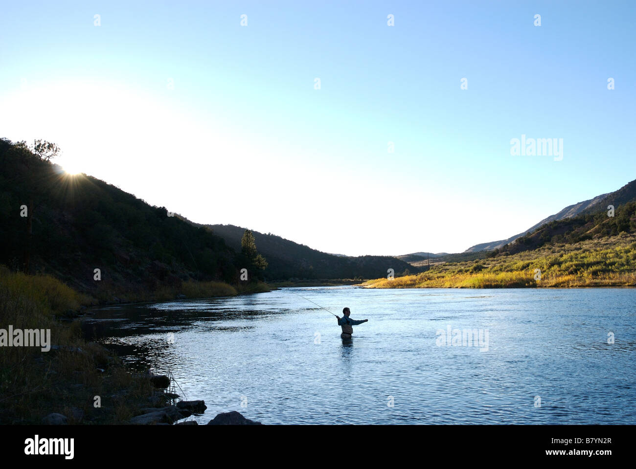 Rising trout hi-res stock photography and images - Alamy