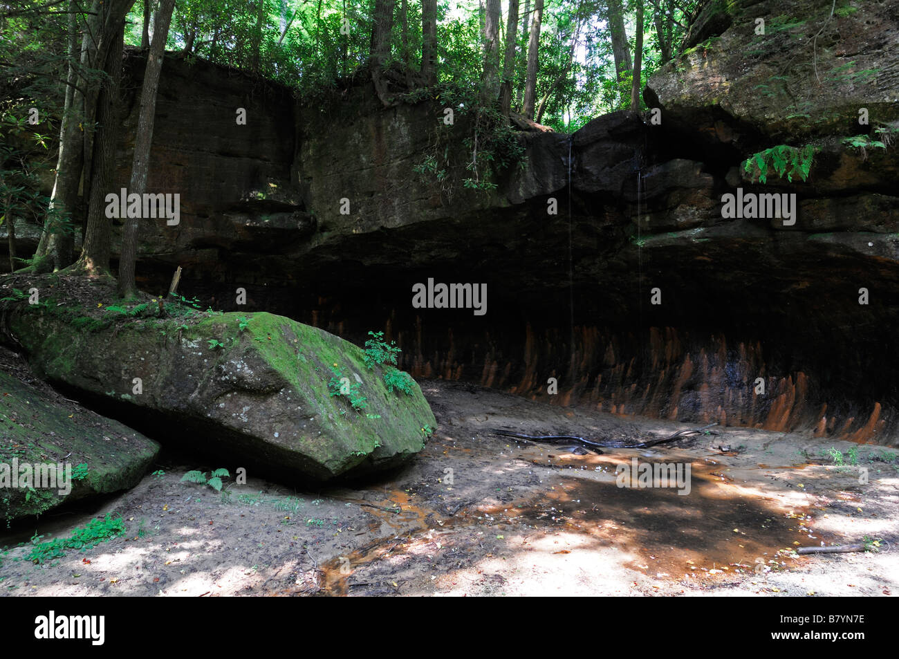 dry river bed carved channel curve Clifty Wilderness Red River Gorge ...