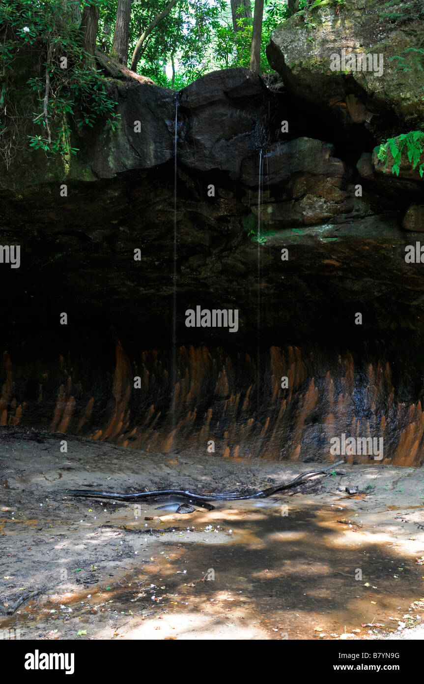 dry river bed bank carved channel curve Clifty Wilderness Red River ...