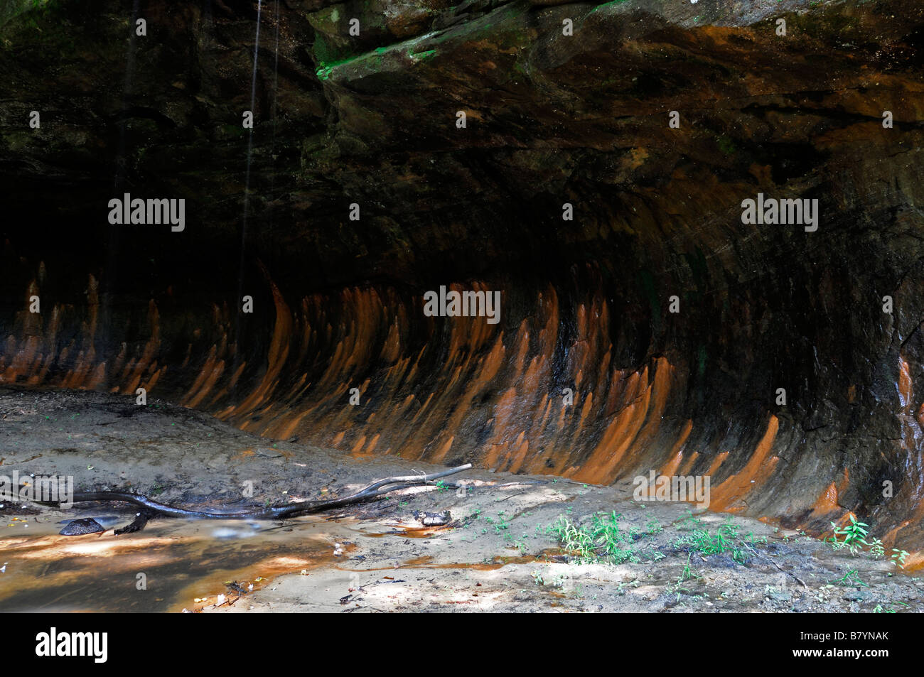 dry river bed bank carved channel curve Clifty Wilderness Red River ...