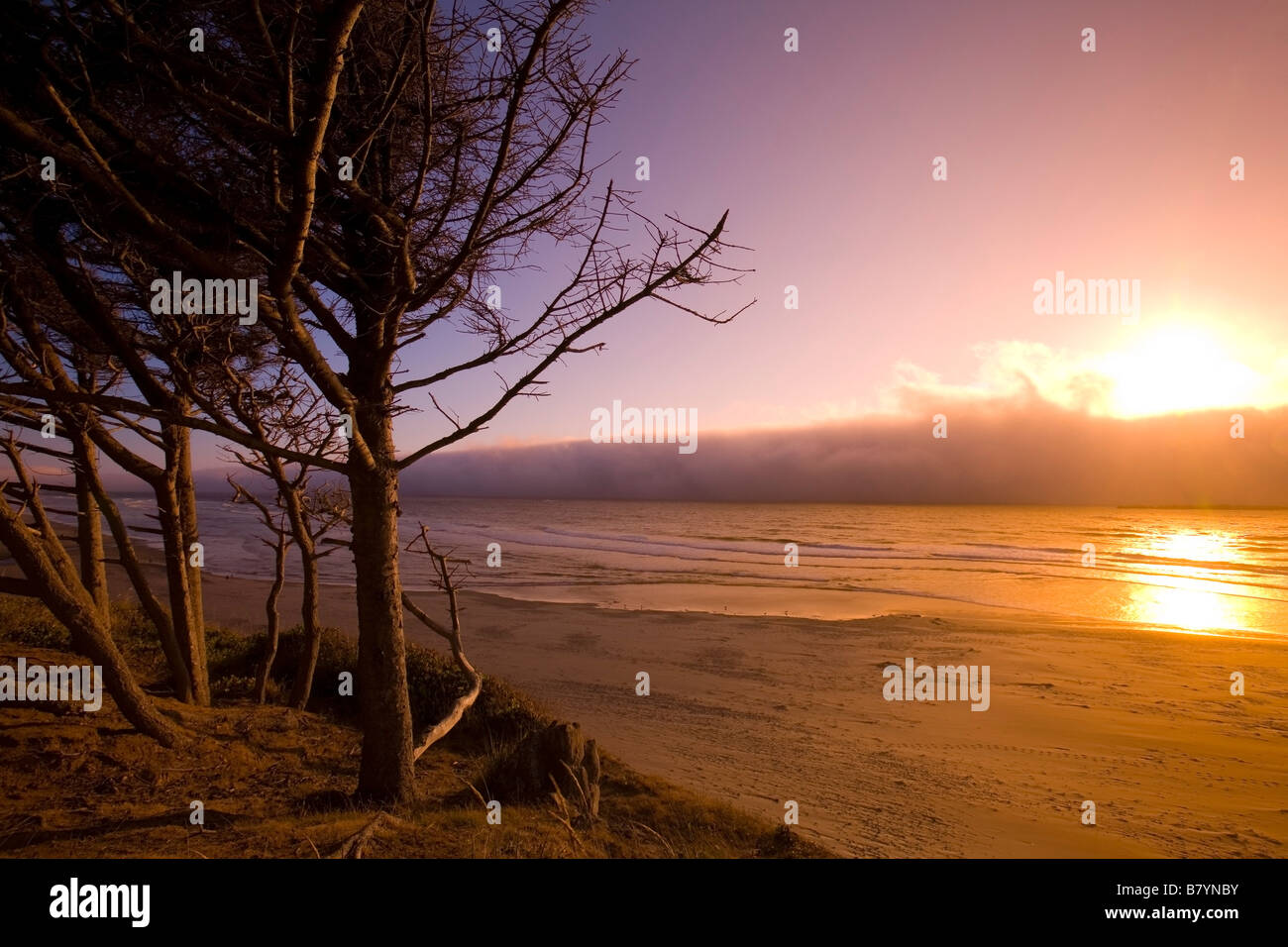 Moolack beach, Oregon Coast, Oregon, USA Stock Photo - Alamy