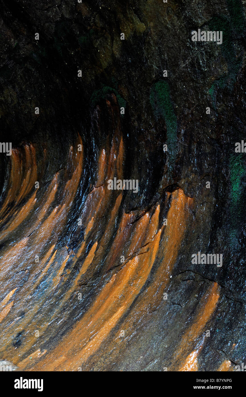 dry river bed bank carved channel curve Clifty Wilderness Red River ...